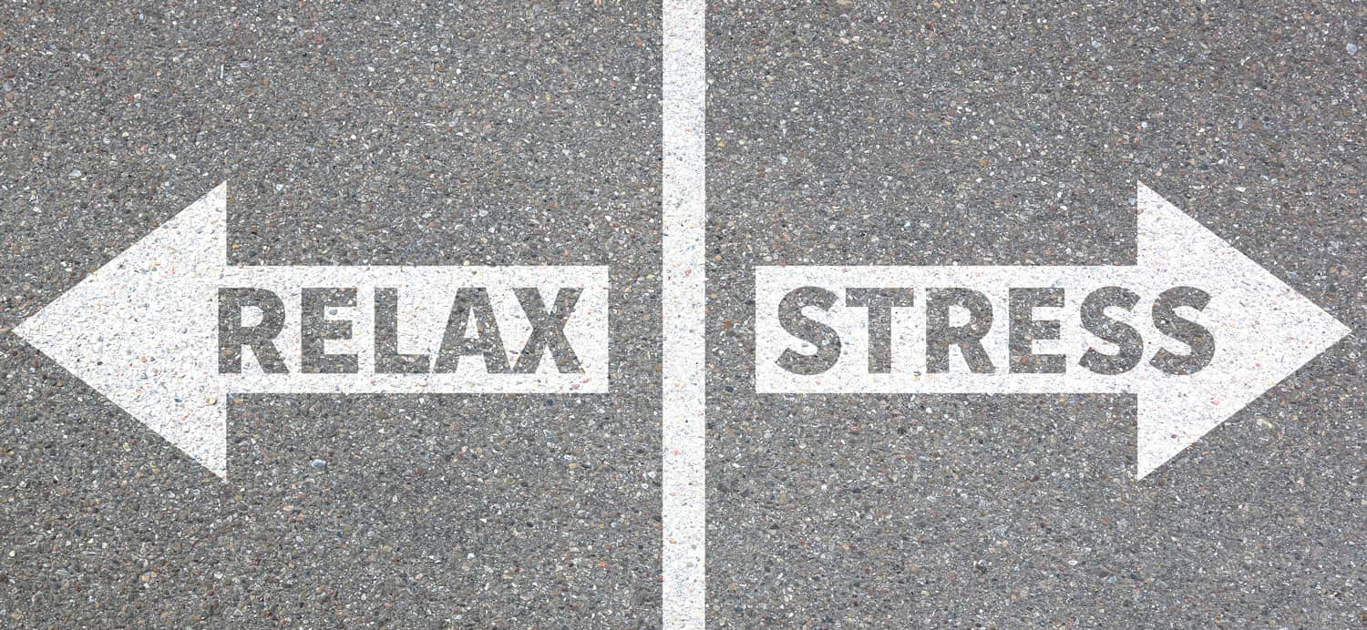 Balancing Stress and Recovery - Beyond the Barriers